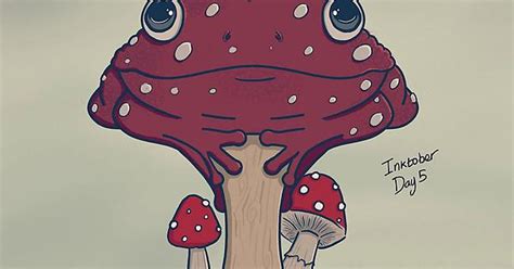 Toad Stool Album On Imgur