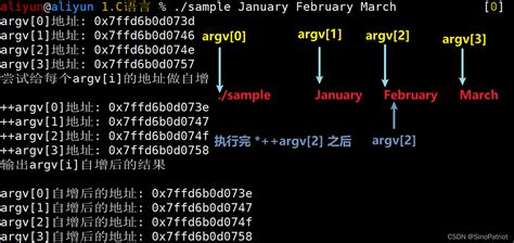 C语言 Main函数的参数 指针数组 联立理解c语言main参数是指针数组sinopatriot的博客 Csdn博客