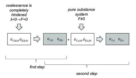 Schematic Visualization Of The Two Step Parameter Estimation Procedure