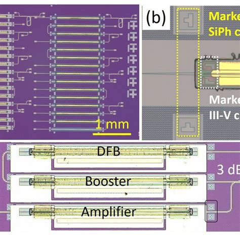 A A Siph Chip With An Array Of Transfer Printed C Band Amplifiers Download Scientific