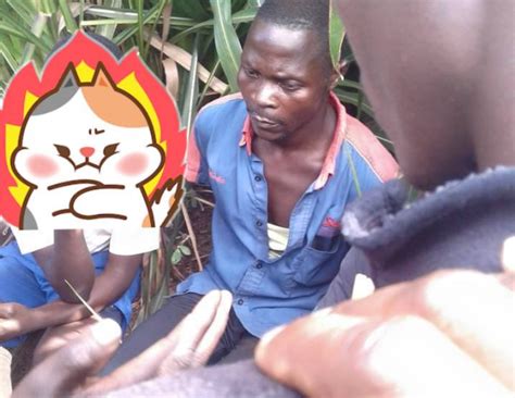 Man Caught Having Sex In A Bush With Primary Babe Babe In Kwara State Photo Kanyi Daily
