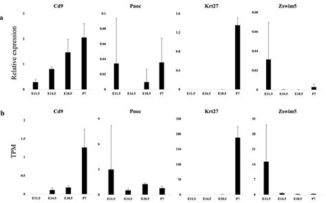 Validation Of Rna Seq Result By Semi Quantitative Rt Pcr Data Are