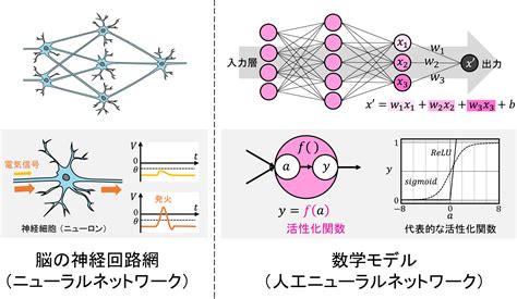 ビッグデータ解析