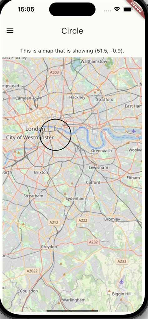 BUG Circles Not Working Issue 1711 Fleaflet Flutter Map GitHub