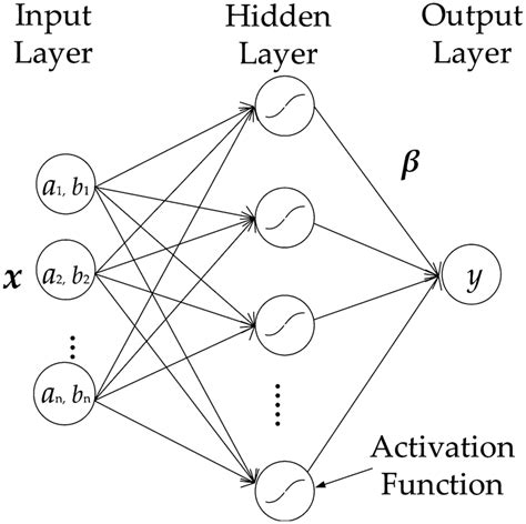 structure of a single‐hidden layer feed‐forward network download
