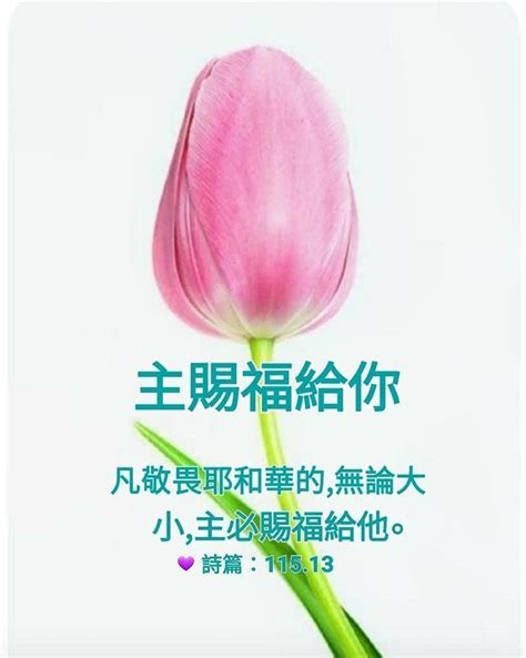 新加坡福音证主协会 只要有耶稣参 与你的人生 你可以期待 人生每一个转角 有意想不到的事情发生 即使眼前看似悲痛 未来都会变成 美好的礼物 因为耶稣爱你 不管你遭遇什么 天父上帝都能够 化