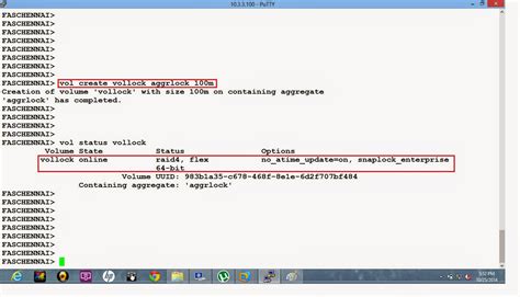 Remote Infrastructure Management NetApp SnapLock Configuration