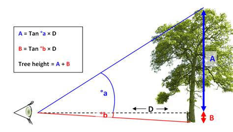 How To Find Height In Trigonometry Trigonometric Identities