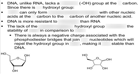 Sugar Present In Dna And Rna At Betty Kaufman Blog