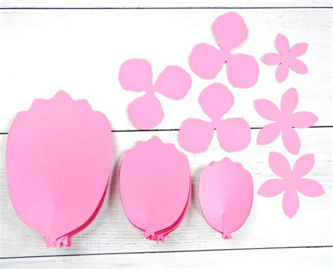 Giant Peony Paper Flower Template
