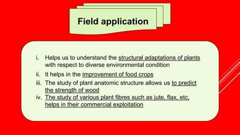 Groundnut Stem Anatomy Pptx Gardening Home Garden