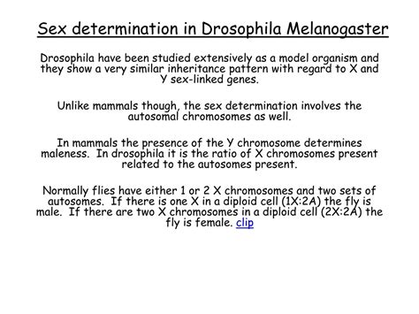 Ppt Catch Up Work Ah Bio Powerpoint Presentation Free Download