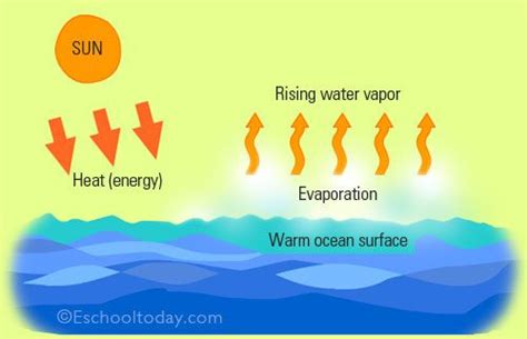 Water Cycle Evaporation Primary Science
