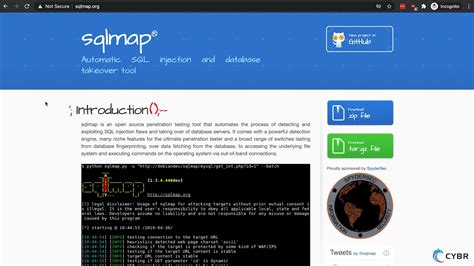 About Sqlmap Cybr