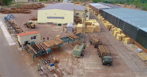 Automated Log Sorting At A Sawmill Aerial View Crane Unloads Logs To