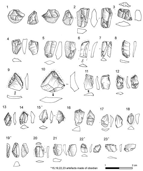 Mesolithic Artefacts From Livari 1 Multidirectional Flake Coremicro