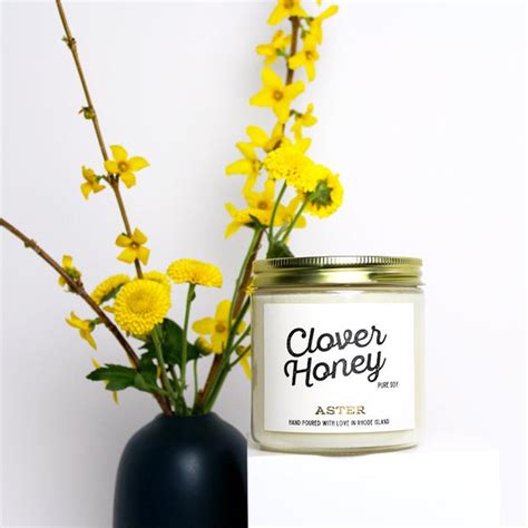 Aster Candle Clover Honey Fully Rooted
