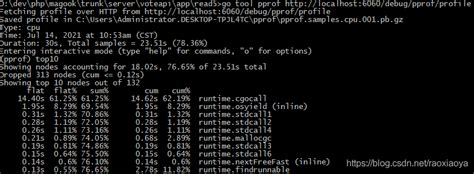 Golang性能分析，pprof的使用，graphviz，火焰图pprof 火焰图 Csdn博客