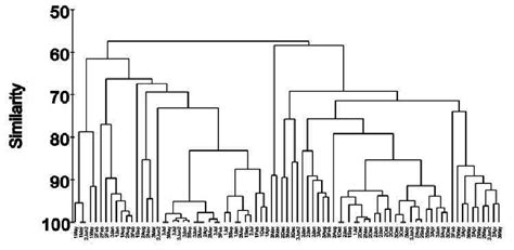 A Dendrogram Of Ascending Hierarchical Agglomerative Clustering