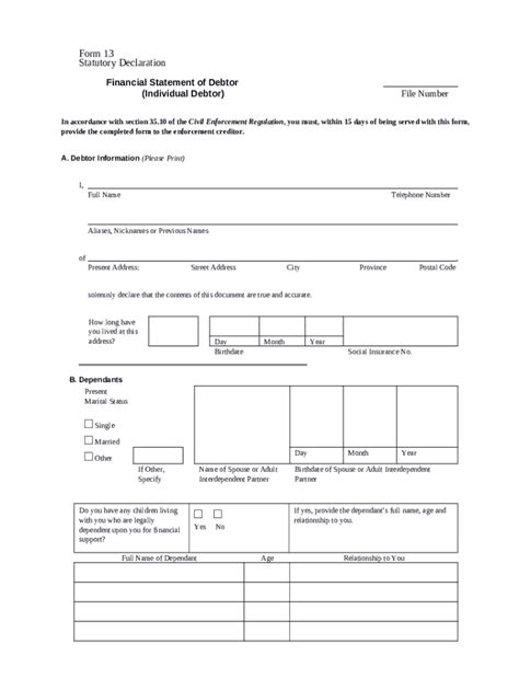 13 Financial Statement Of Debtor Individual Debtor Docx Doc Template Pdffiller