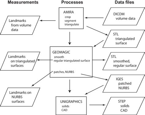 The Processing Pipeline For Generating 3d Bone Models After Scanning