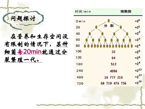 用必修三生物第四章第2节word文档在线阅读与下载无忧文档
