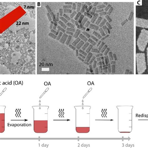 Npl Tem Characterization And Drying Assembly Scheme Tem A And B And