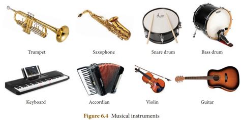 Musical Instruments Sound Chapter 6 8th Science
