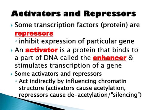Ppt Both Prokaryotes And Eukaryotes Powerpoint Presentation Free