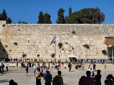 유대인 그들은 왜 공공의 적이 됐나