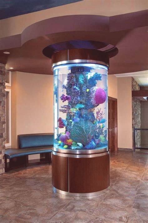 Multi Tank Aquarium At Phyllis Fetter Blog