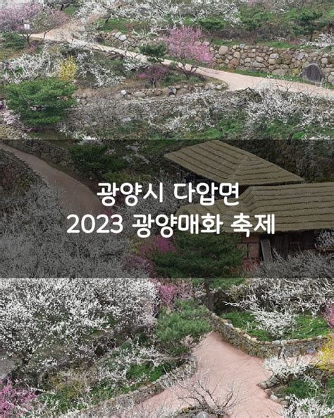 [ 광양여행 ]2023 광양매화축제 광양시 다압면 매화꽃축제 기간과 일정 광양 매화 개화시기 네이버 블로그