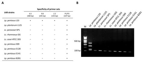 Microorganisms Free Full Text Development Of A Multiplex Pcr Assay For Efficient Detection