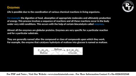 Biomolecules Pptpptx Ppt
