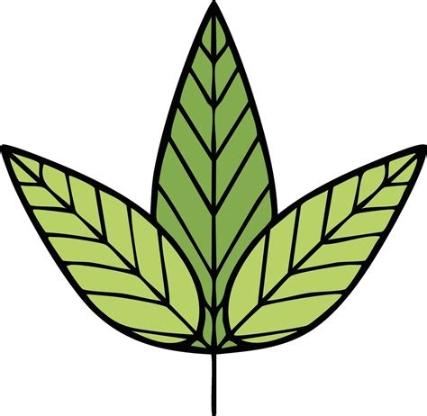 Stylized Leaf Design Featuring Three Pointed Segments And A Light Green Color Scheme In A