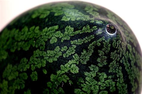 수박 과일 익은 Pixabay의 무료 사진