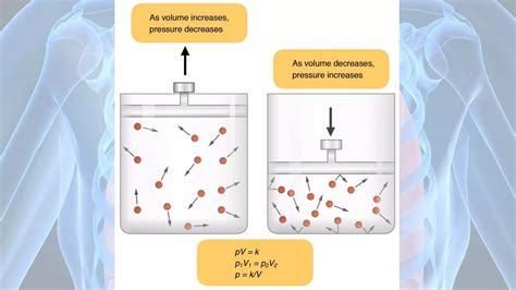 Амьсгалын эрхтэн тогтолцооны физиологи Pptx
