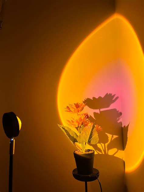 Viral Sunset lamp in 2024 | Sun lamp, Lamp, Led decor