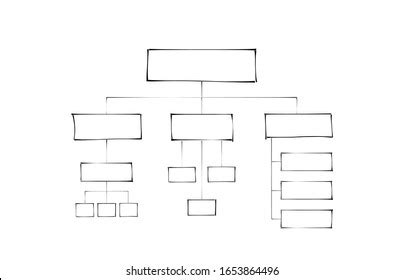 Business Hierarchy Structure Infographic Flowchart Template Stock Vector Royalty Free