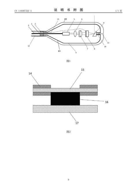 Self Focusing Oct Endoscope With Variable Working Distance Pillcam