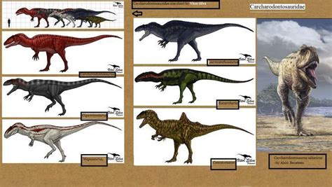 Carcharodontosauridae Alchetron The Free Social Encyclopedia