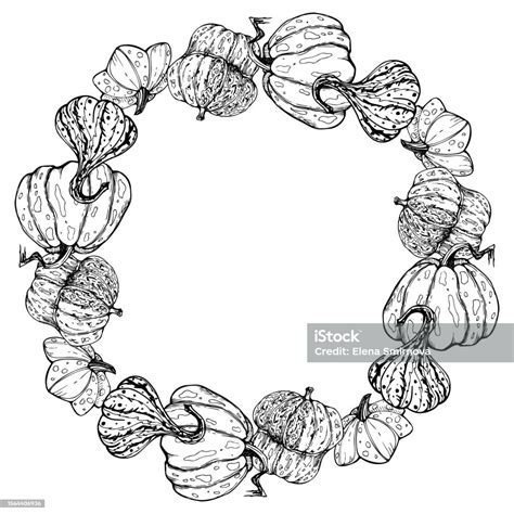 손으로 그린 잉크 벡터 호박 조롱박 스쿼시 추수감사절 할로윈 수확 농사를 위한 스케치 일러스트레이션 아트 화환 프레임 개요