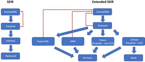 Prediction Model Definition 32 Download Scientific Diagram