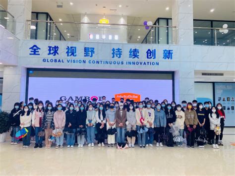新闻网新版