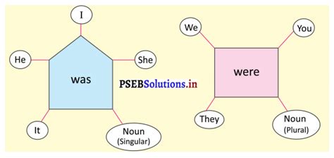 Pseb 3rd Class English Solutions Chapter 3 Trees Pseb Solutions