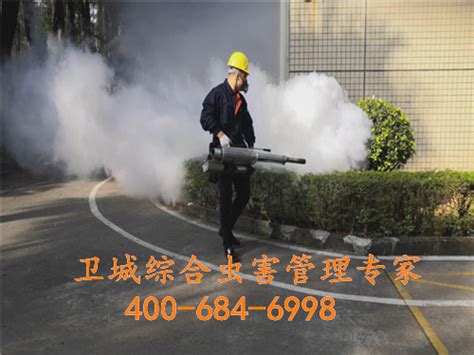 东莞凤岗工厂除四害塘厦杀虫灭鼠清溪装修防白蚁公司