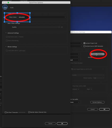 How To Render Export In After Effects A Tutorial With Tips Motion Array