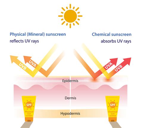 Comparison Of Physical Mineral Sunscreen And Chemical Sunscreen Vector
