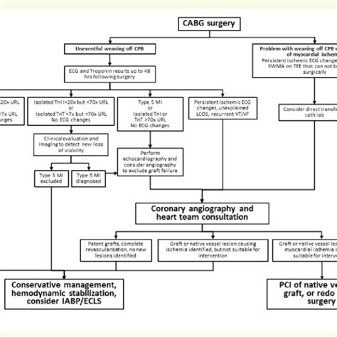 Proposed Algorithm For Managing Patients With Possible Peri Operative Download Scientific