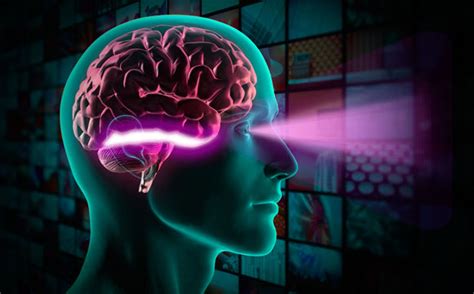 New Evidence That The Brains Inferotemporal Cortex Can Identify Objects